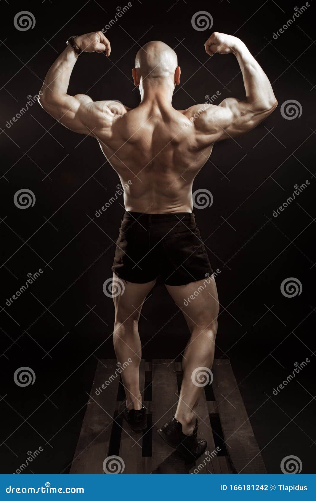 Bodybuilder Shows Back Double Biceps in Studio 库存照片 - 图片 包括有 正横, 运动员 ...