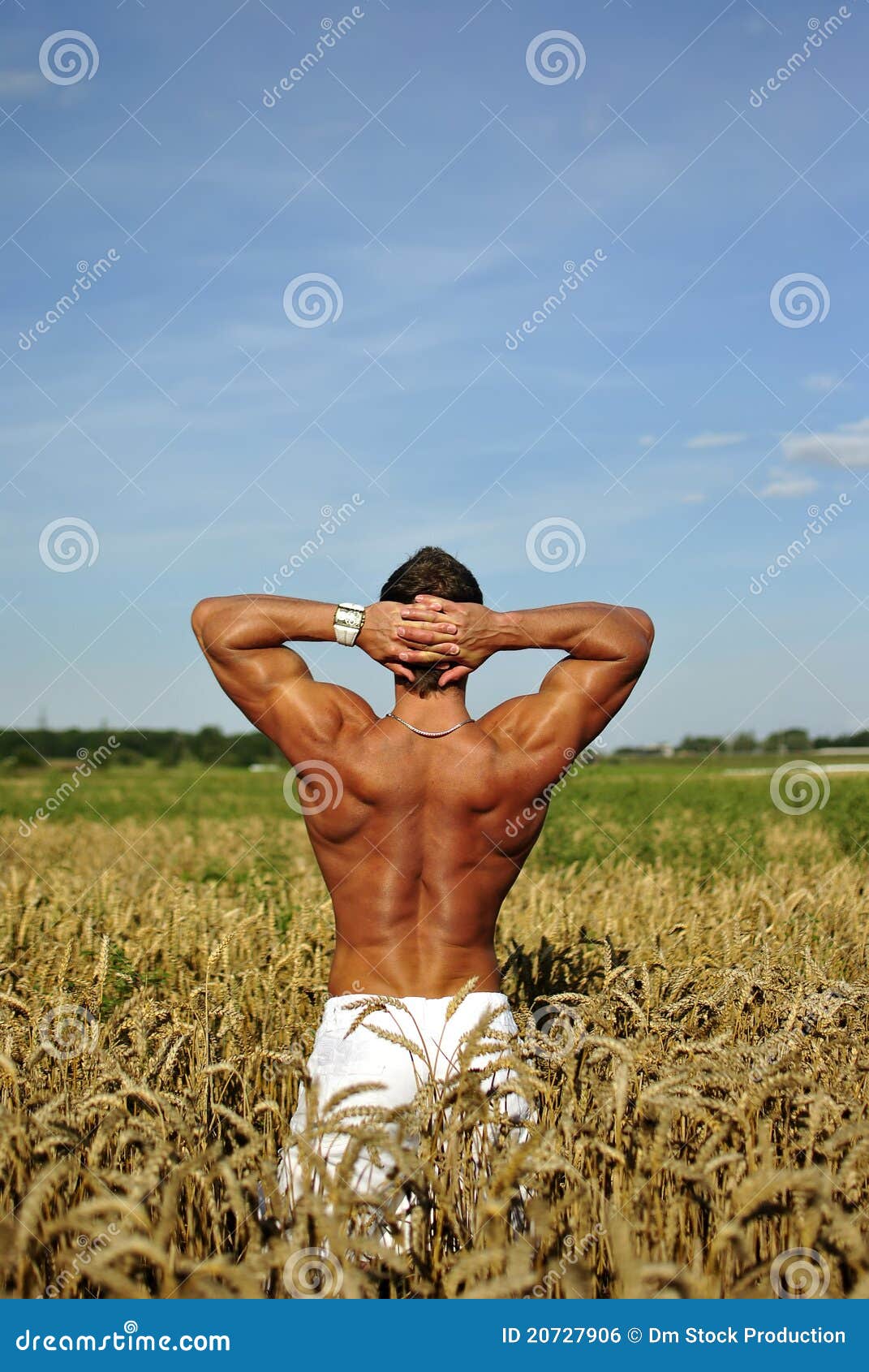 Bodybuilder Standing Waist-deep in the Field Stock Photo - Image of ...