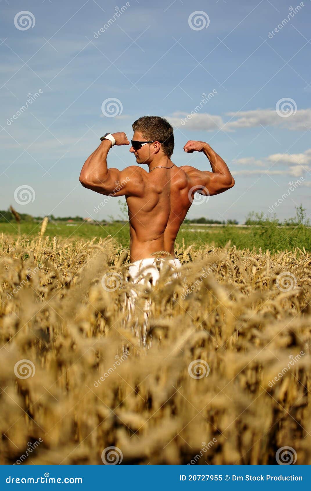 Bodybuilder Standing Waist-deep in the Field Stock Image - Image of ...