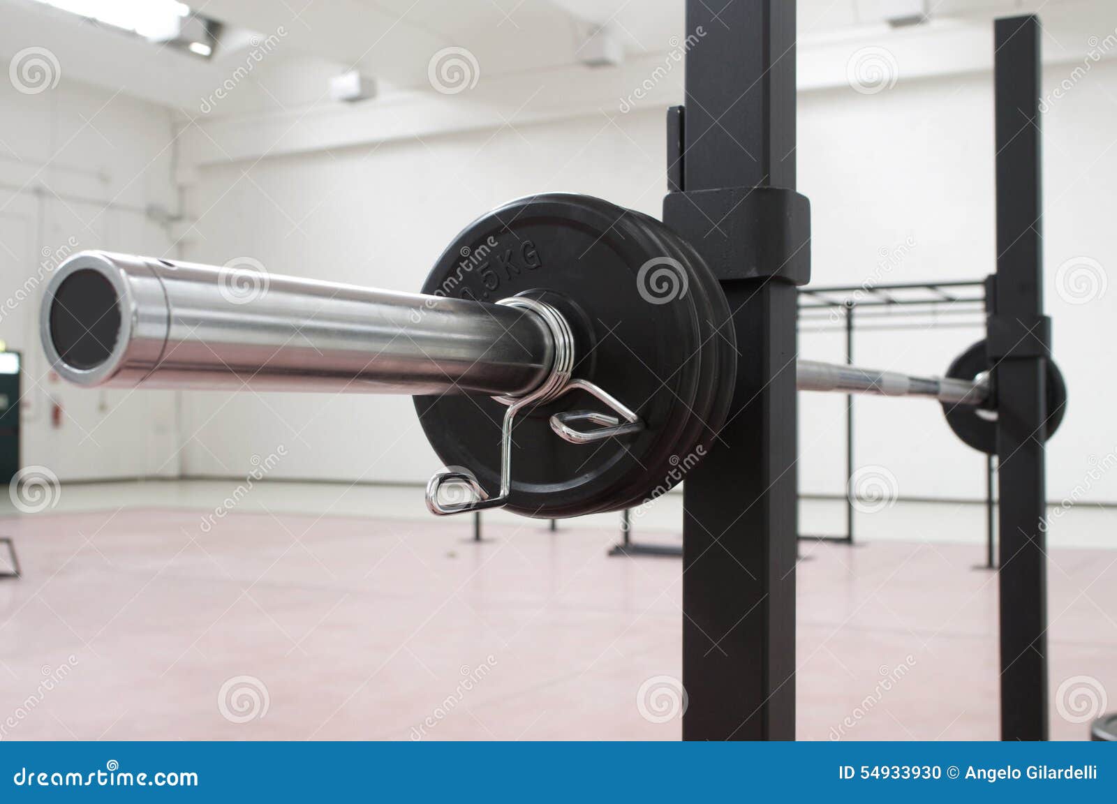 Bodybuilder tools stock photo. Image of fitness, sport - 54933930