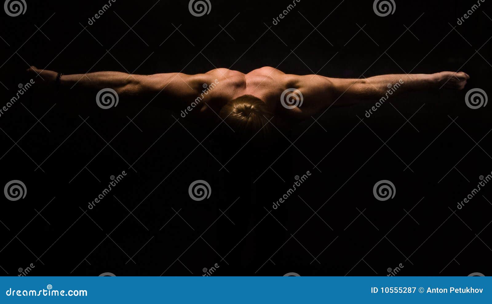 Bodybuilder torso stock image. Image of bodybuilder, body - 10555287