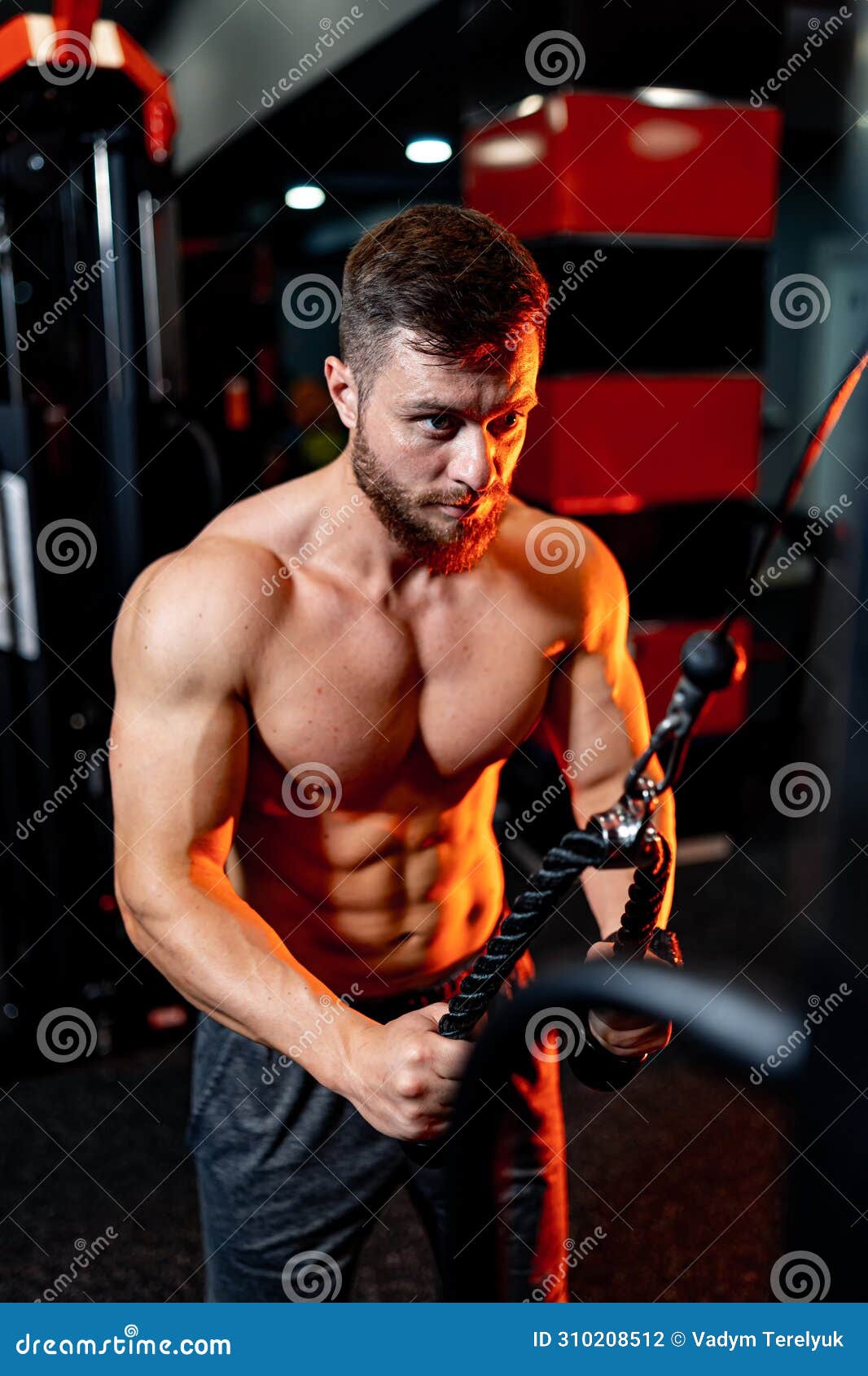 Bodybuilder with Torso Doing Athletic Exercise. Healthy Muscular Man ...