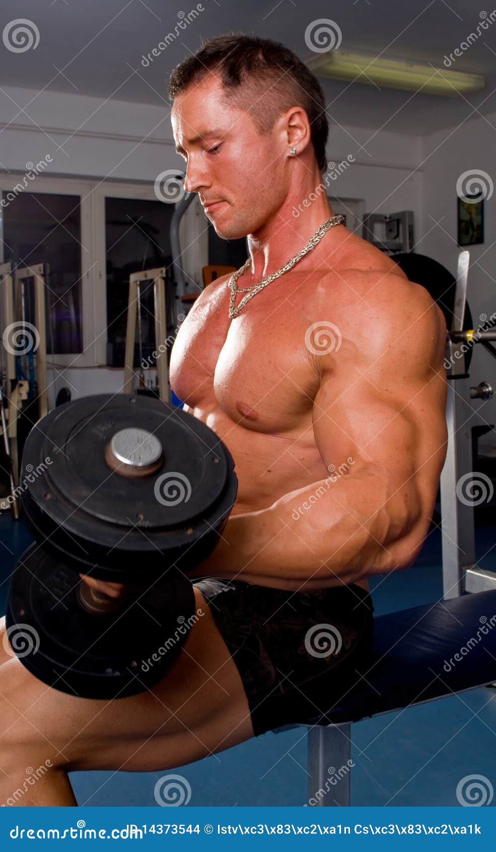 Bodybuilder training stock photo. Image of exercise, bodybuilder - 14373544