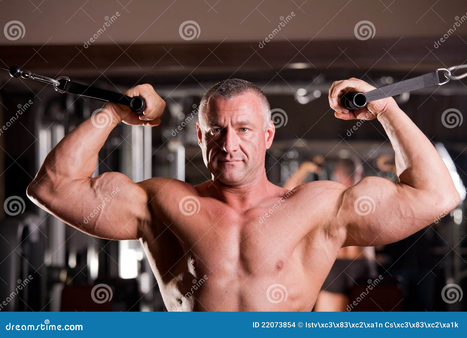 Bodybuilder training stock photo. Image of powerful, fitness - 22073854