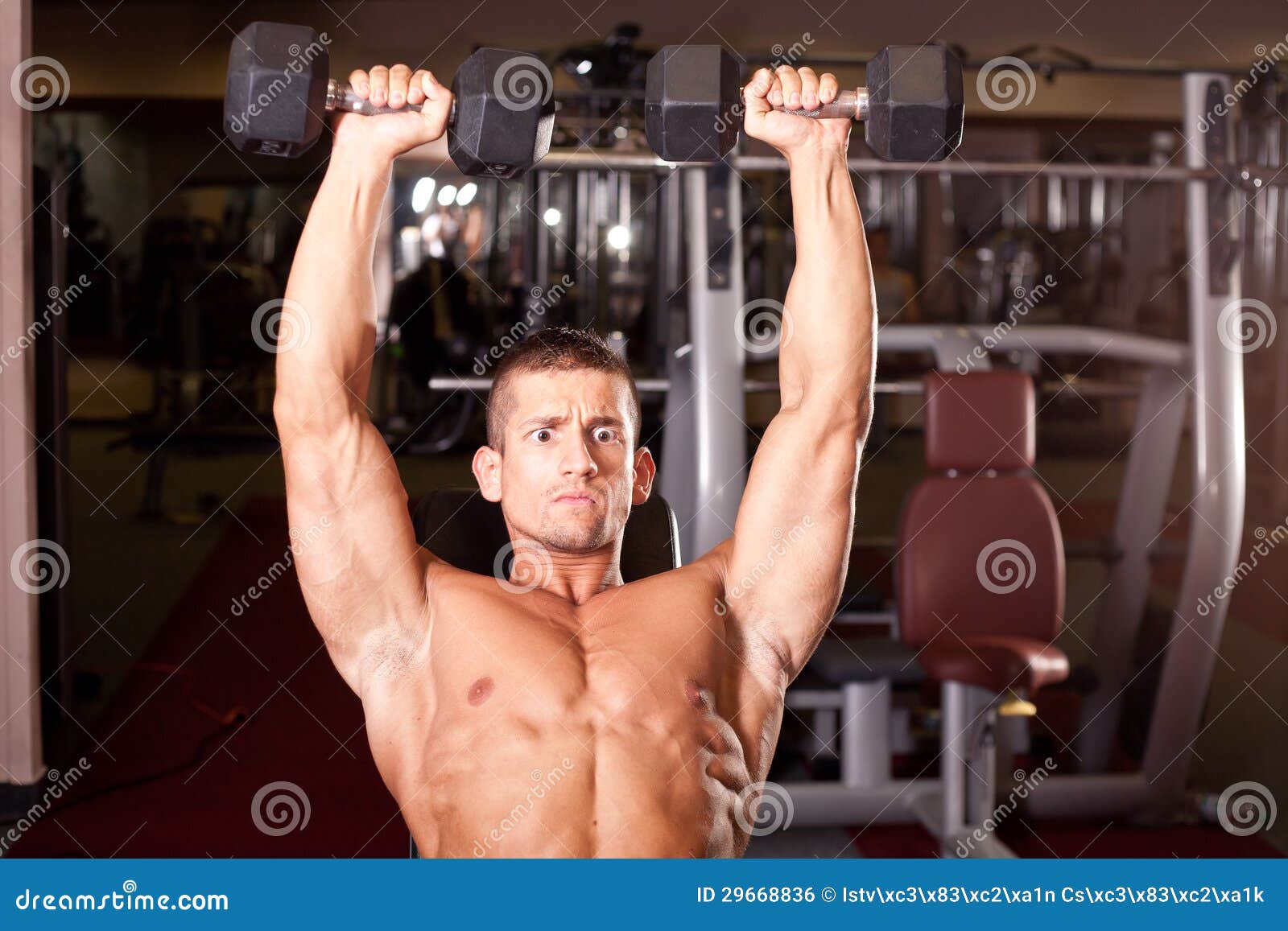 Bodybuilder training stock photo. Image of male, athletic - 29668836