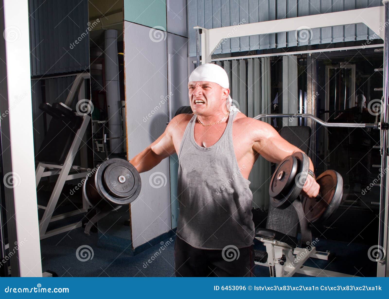 Bodybuilder training stock photo. Image of male, human - 6453096