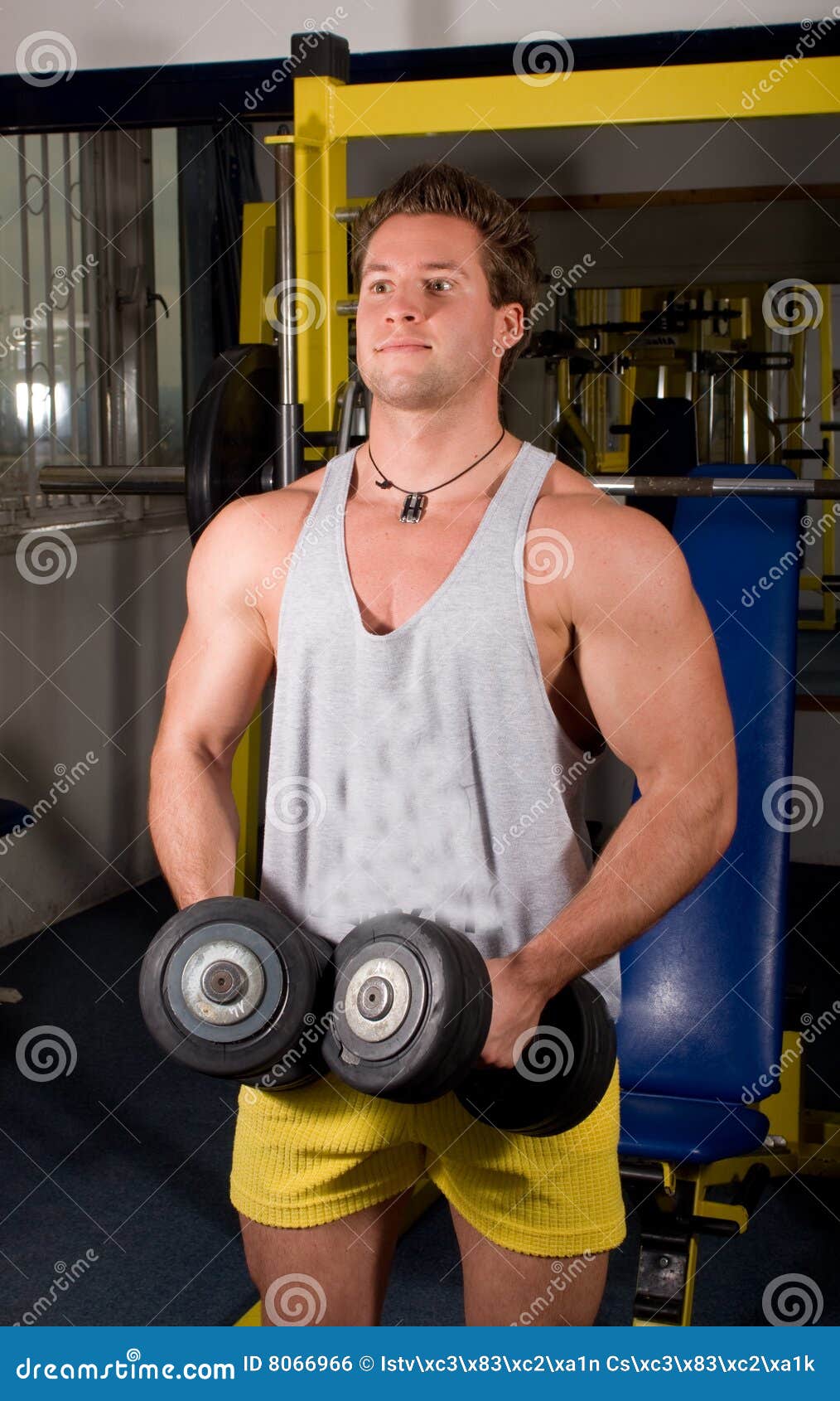 Bodybuilder training stock photo. Image of lifting, deltoids - 8066966
