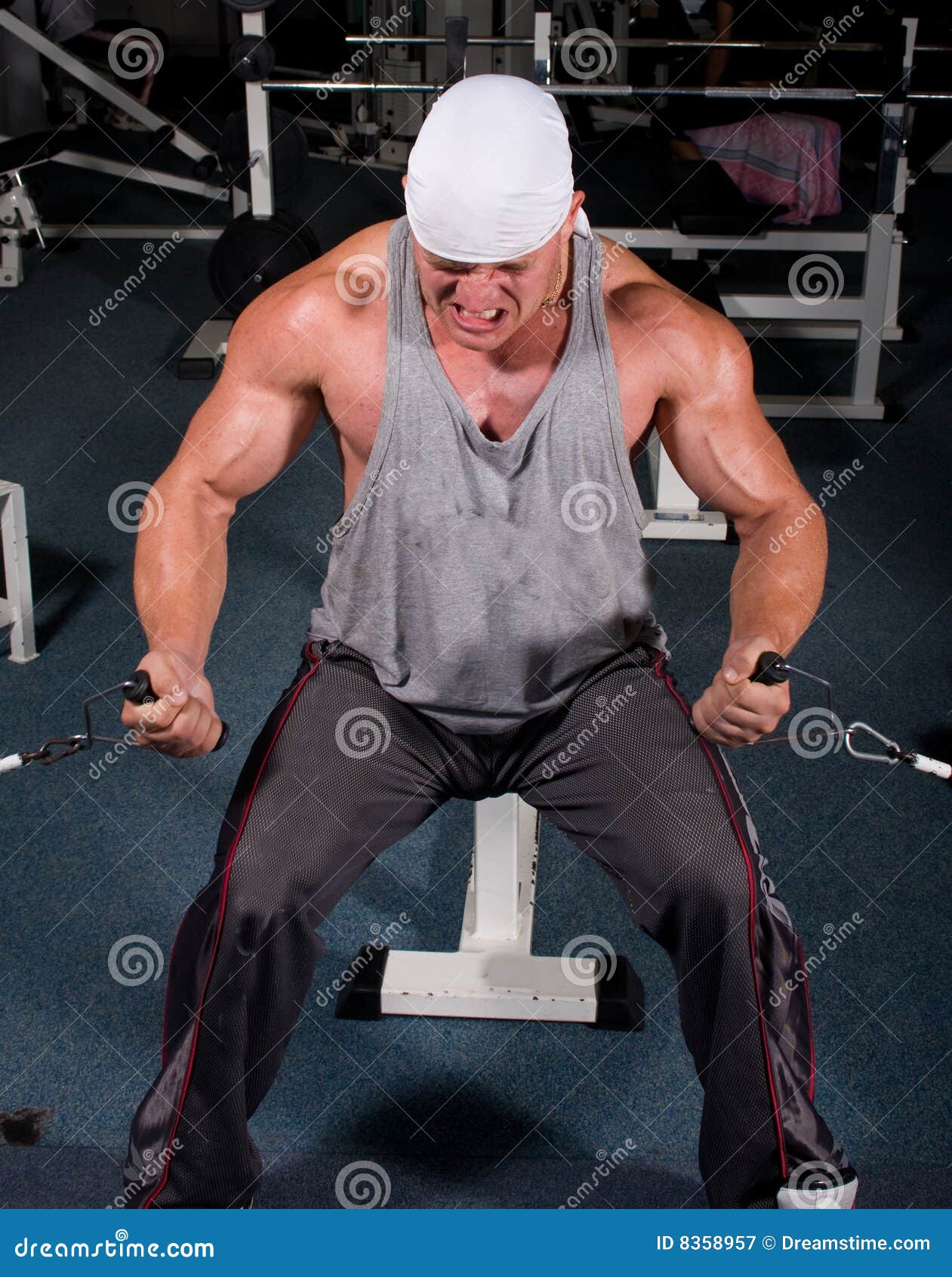 Bodybuilder training stock image. Image of building, athlete - 8358957