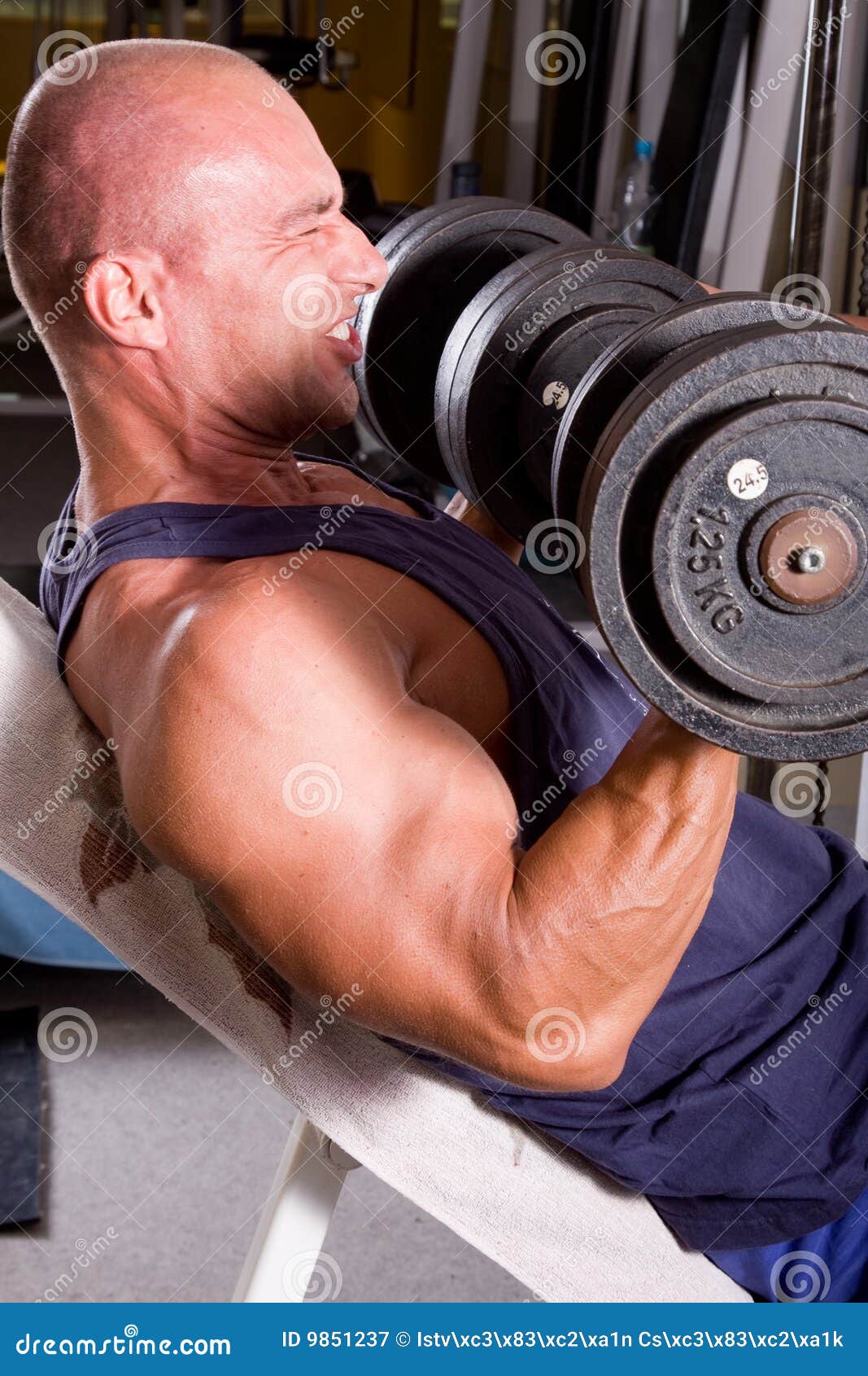 Bodybuilder training stock image. Image of alternate, bodybuilder - 9851237