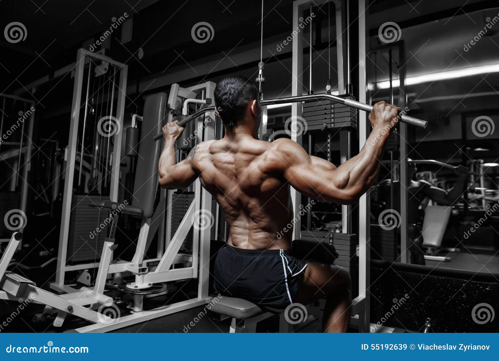 Bodybuilder Training Back on Simulator in the Gym Stock Image - Image ...