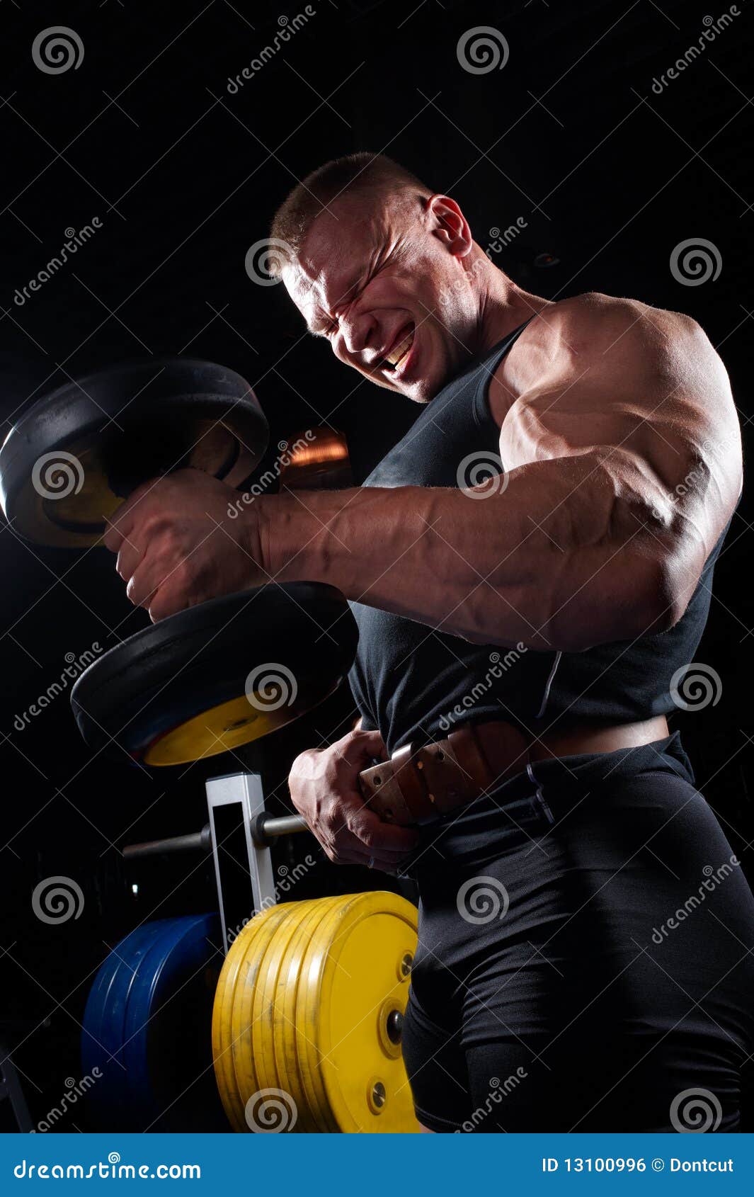 Bodybuilder Training in Gym Stock Photo - Image of exercising ...