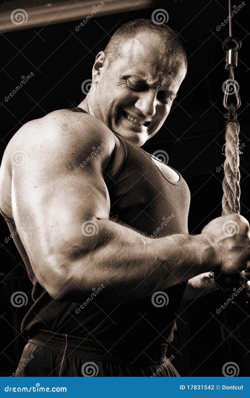 Bodybuilder Training in Gym Stock Photo - Image of handsome, exercise ...