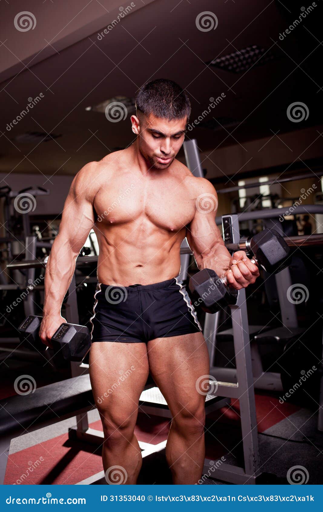 Bodybuilder training stock photo. Image of dumbbell, muscle - 31353040