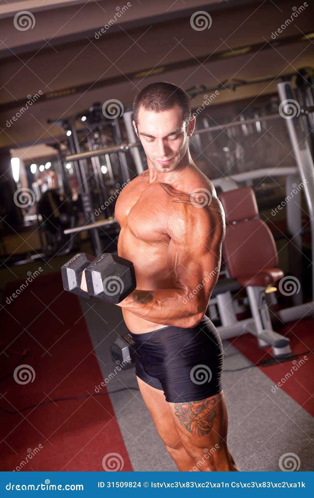 Bodybuilder training stock photo. Image of bodybuilding - 31509824