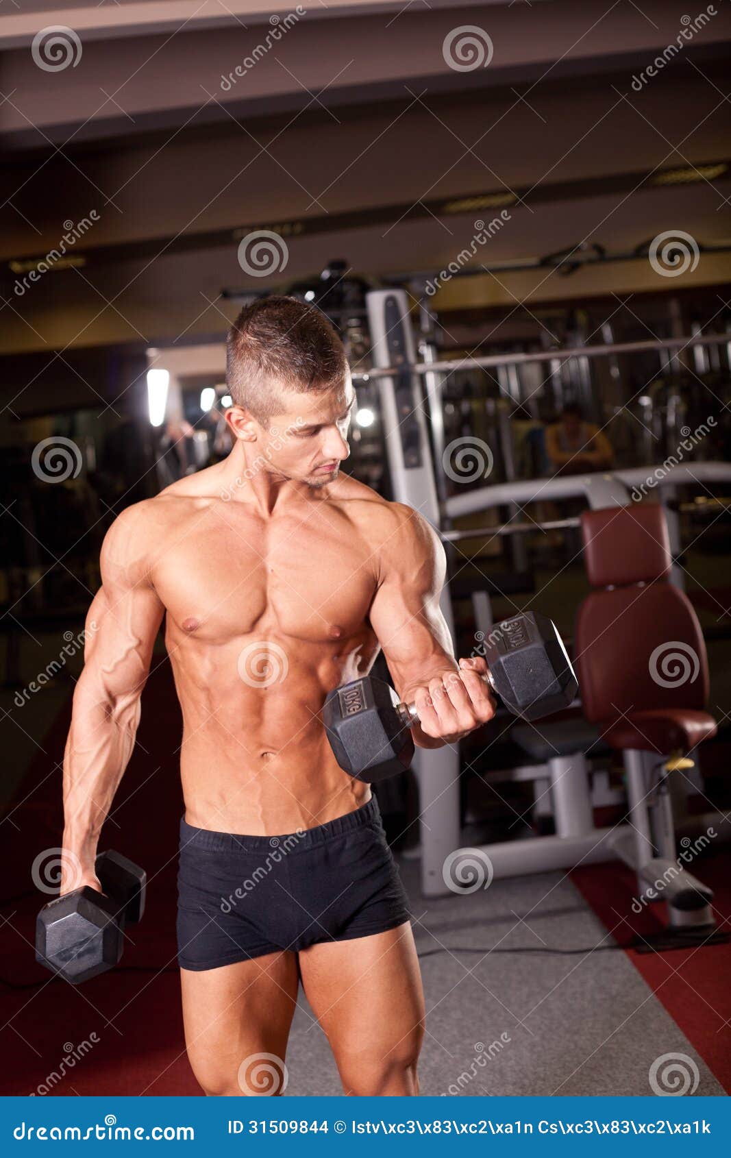 Bodybuilder training stock photo. Image of bodybuilder - 31509844