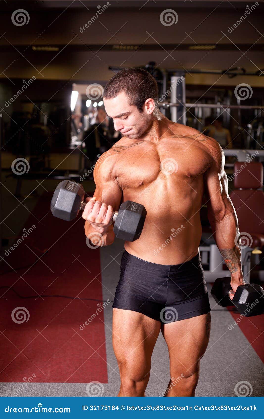 Bodybuilder training stock photo. Image of exercise, male - 32173184
