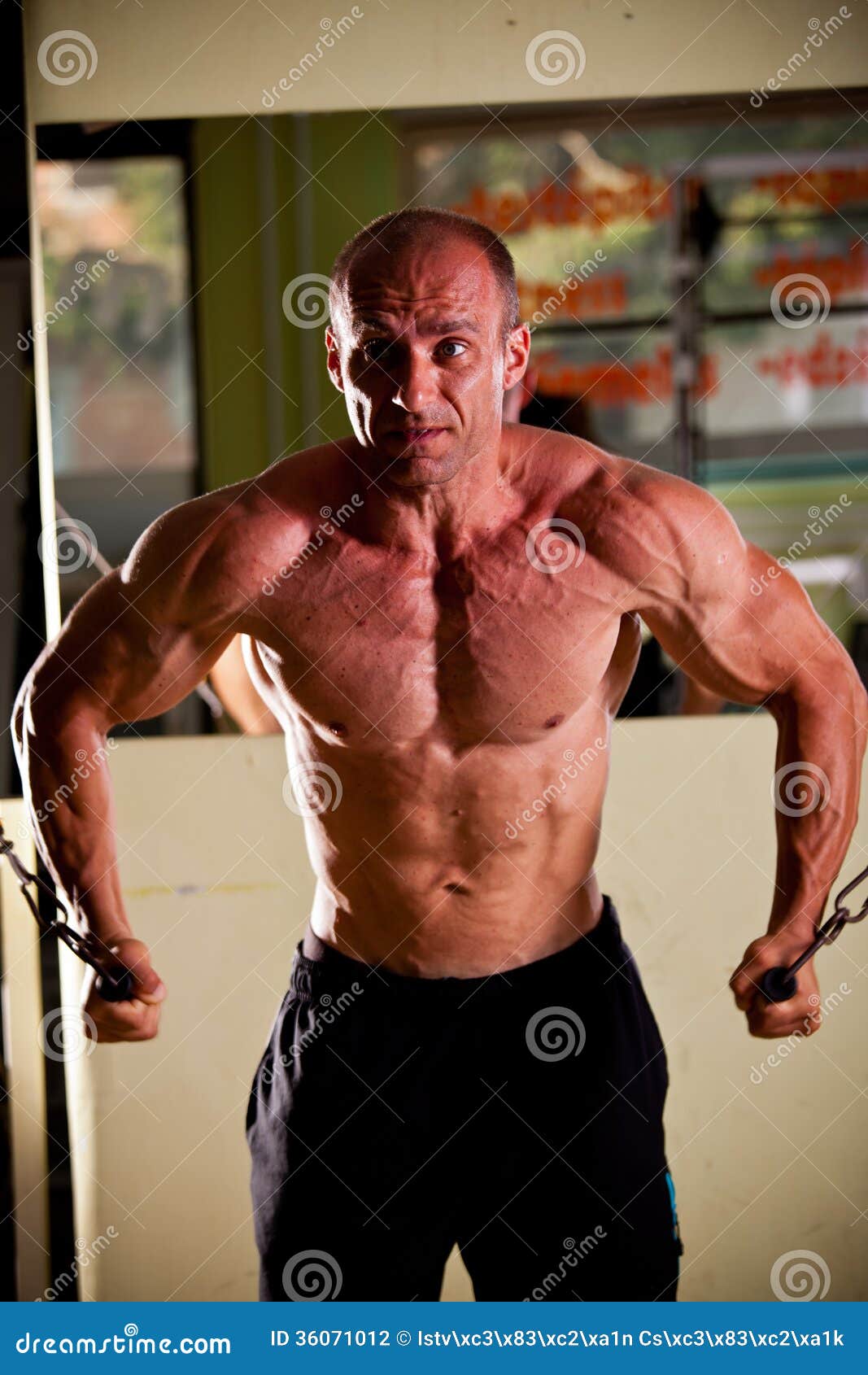 Bodybuilder training stock photo. Image of abdominal - 36071012