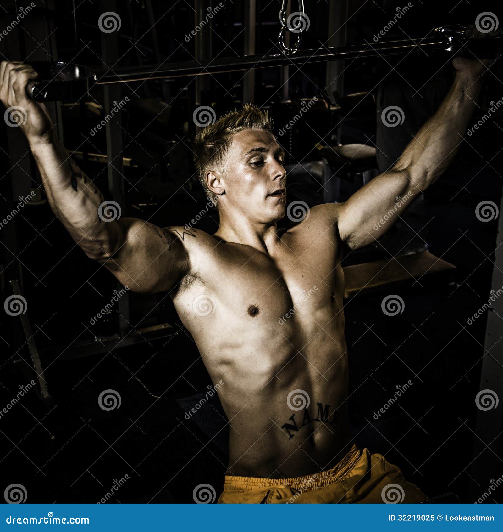 Bodybuilder Training in the Gym Stock Image - Image of workout, pulling ...