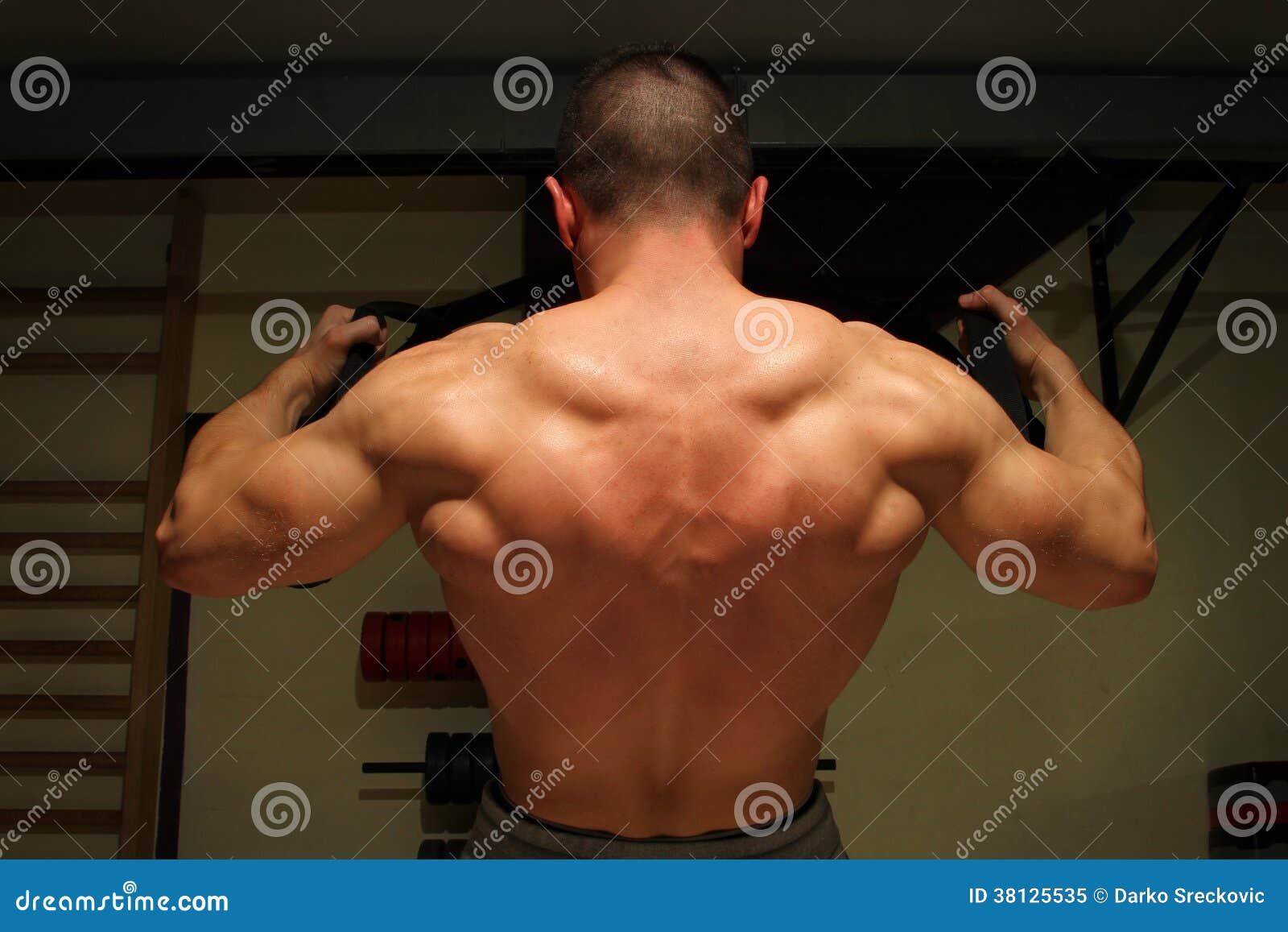 Bodybuilder training hard stock image. Image of strength - 38125535