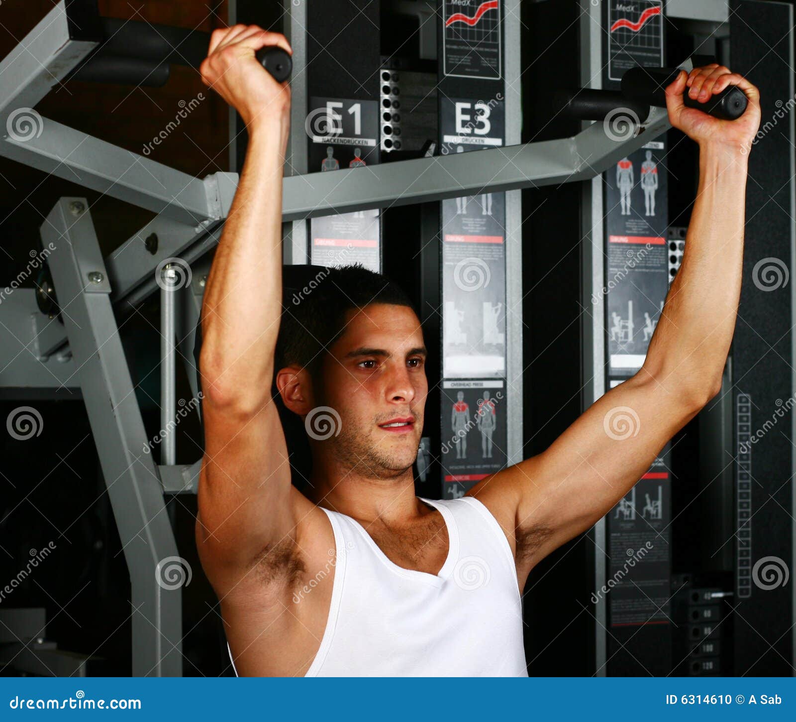 Bodybuilder Training Shoulders Stock Photo - Image of adult, exercise ...