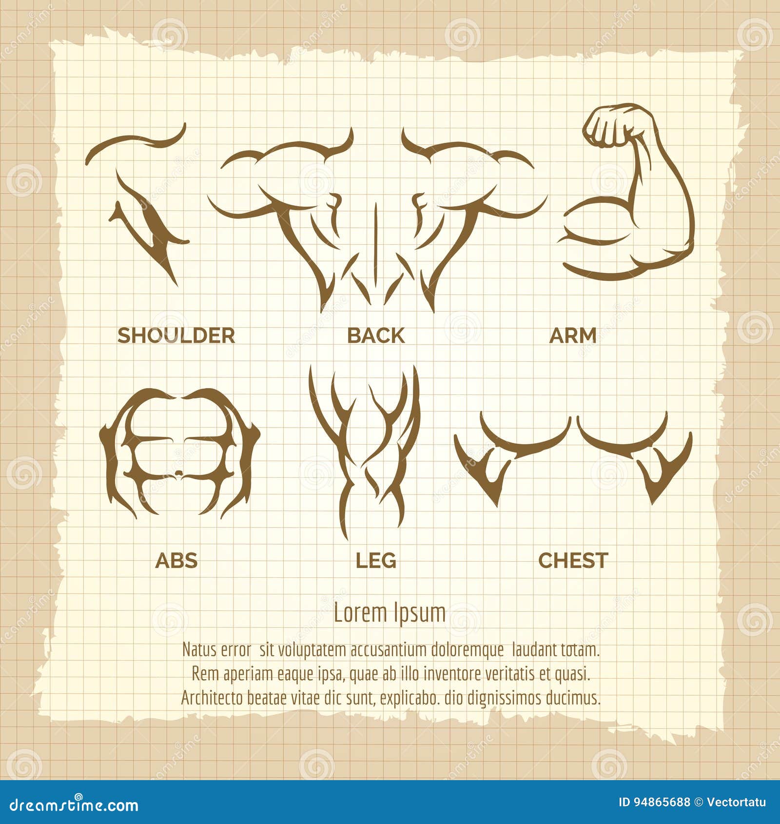 Bodybuilder Vintage Poster, Male Muscle Elements Stock Vector ...