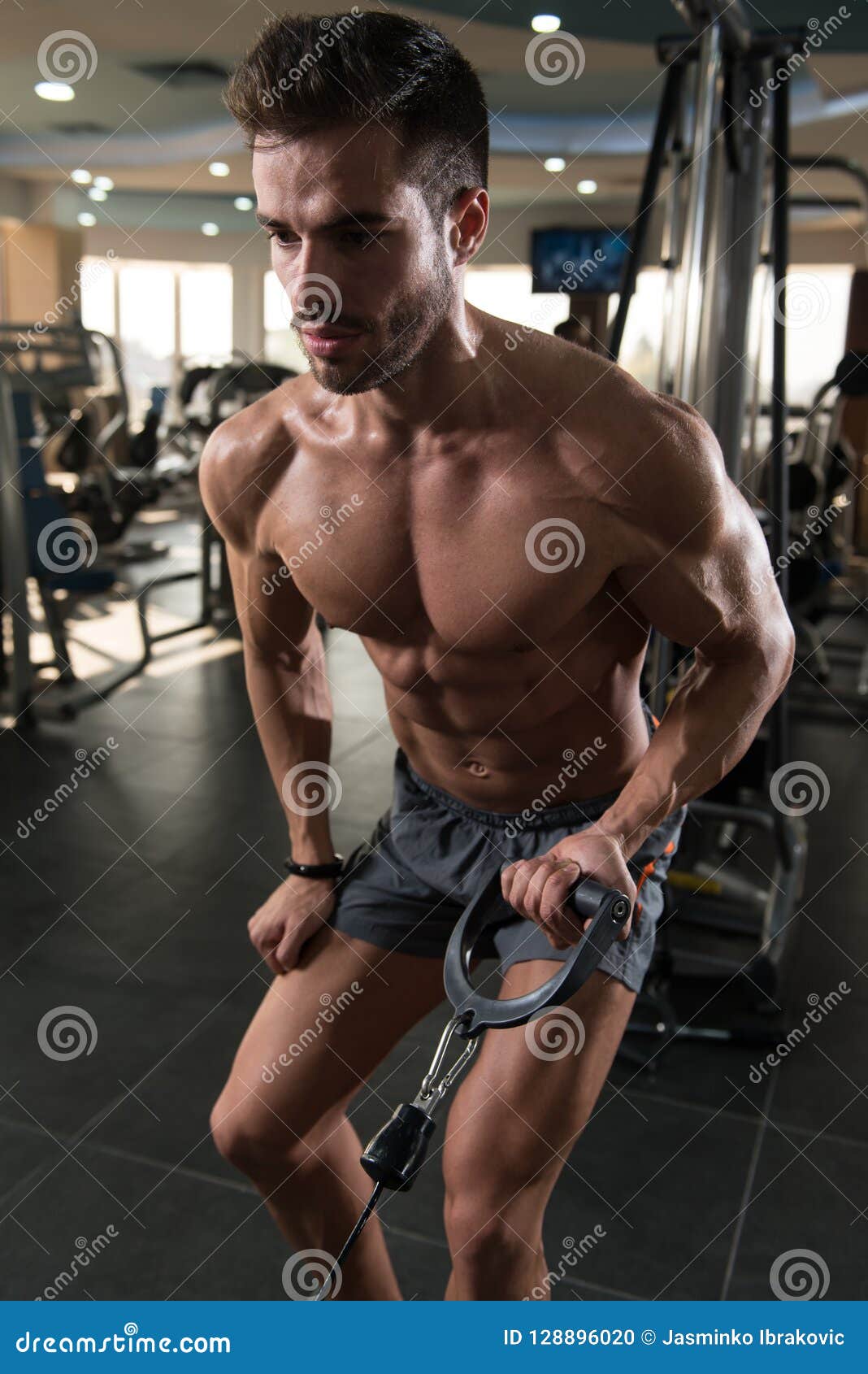 Back Workout Cable in Gym stock photo. Image of flexing - 128896020