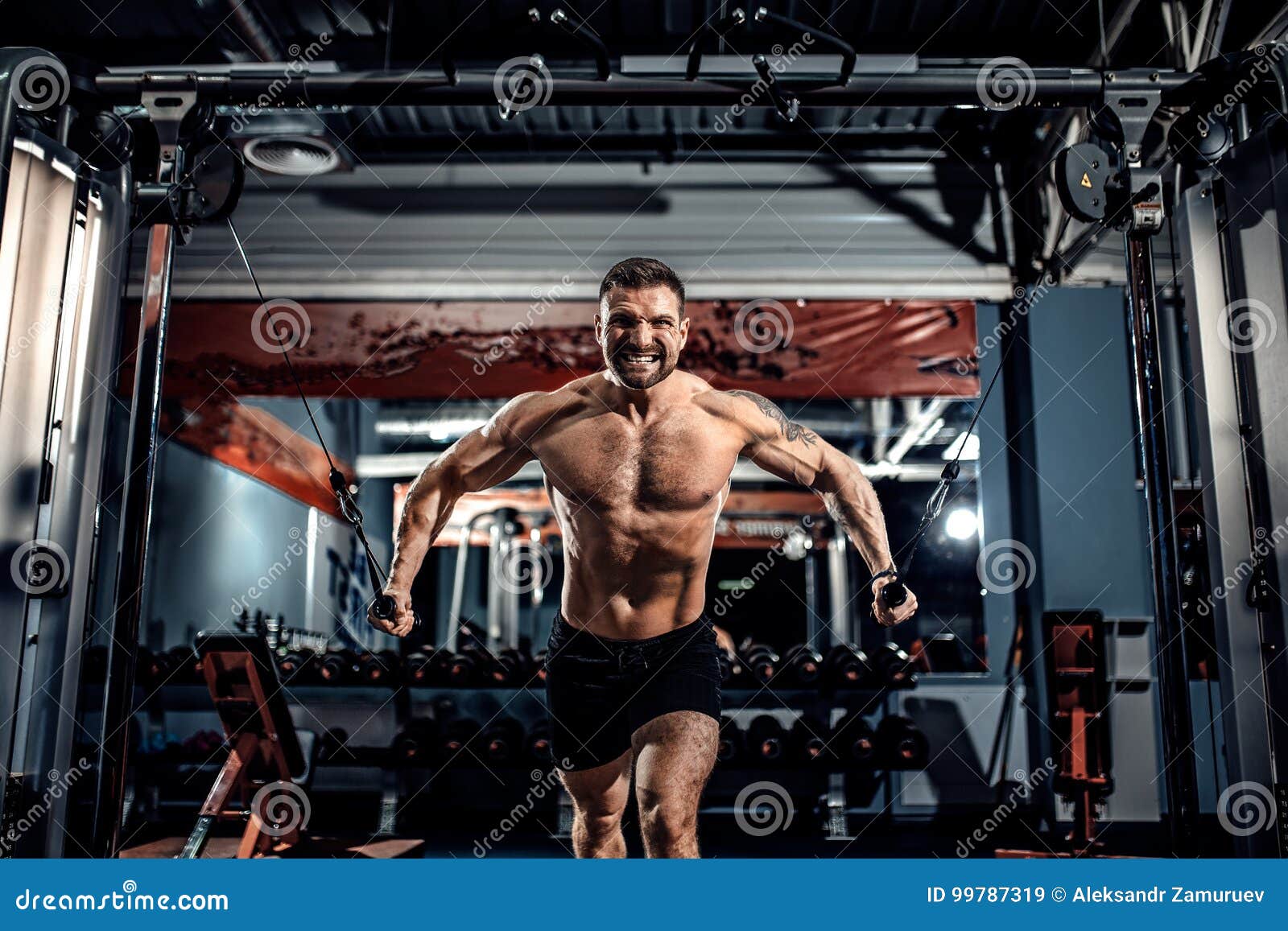Bodybuilder is Working on His Chest with Cable Crossover in Gym. Stock ...