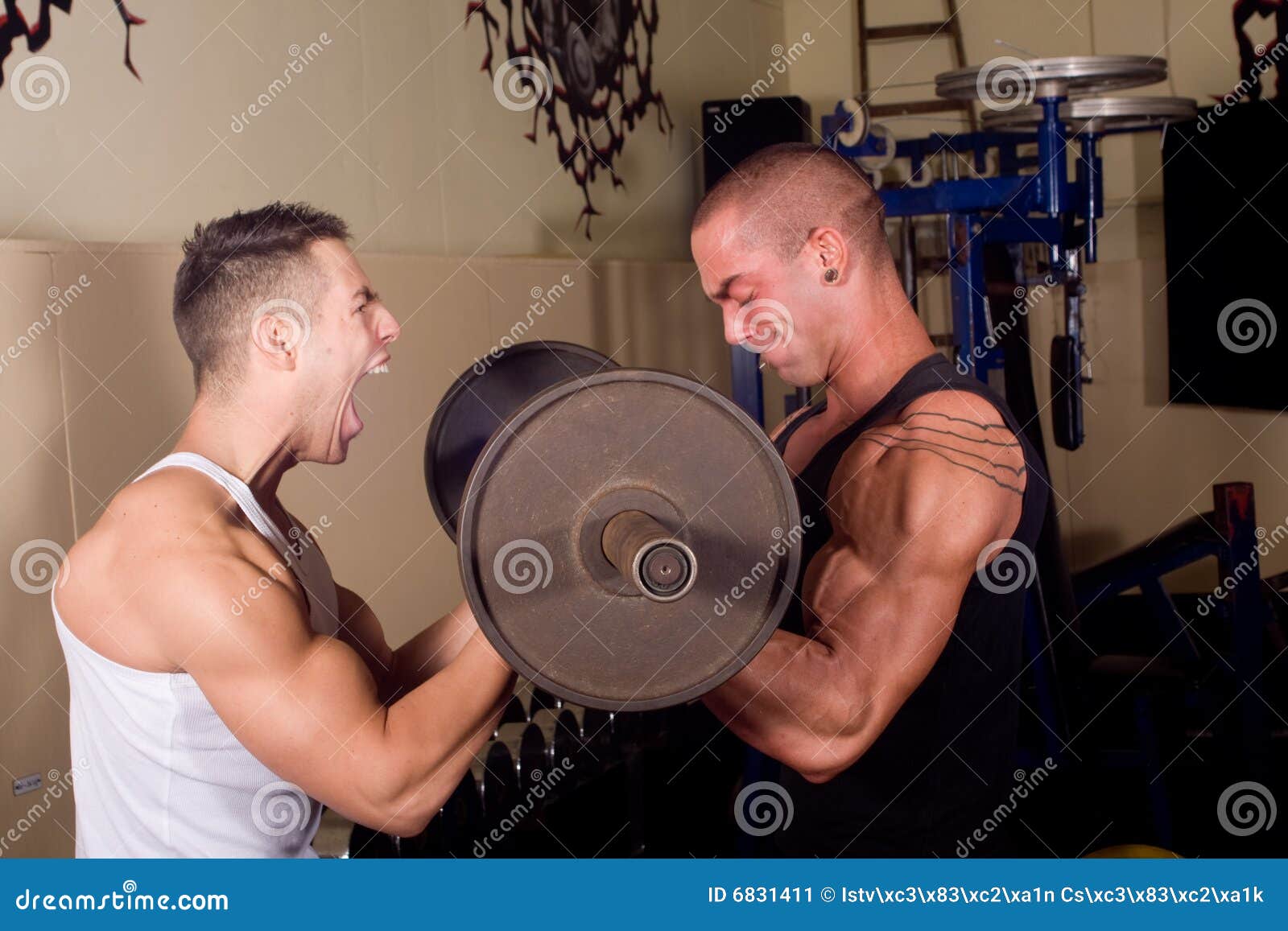 Bodybuilders training stock image. Image of iron, exercise - 6831411