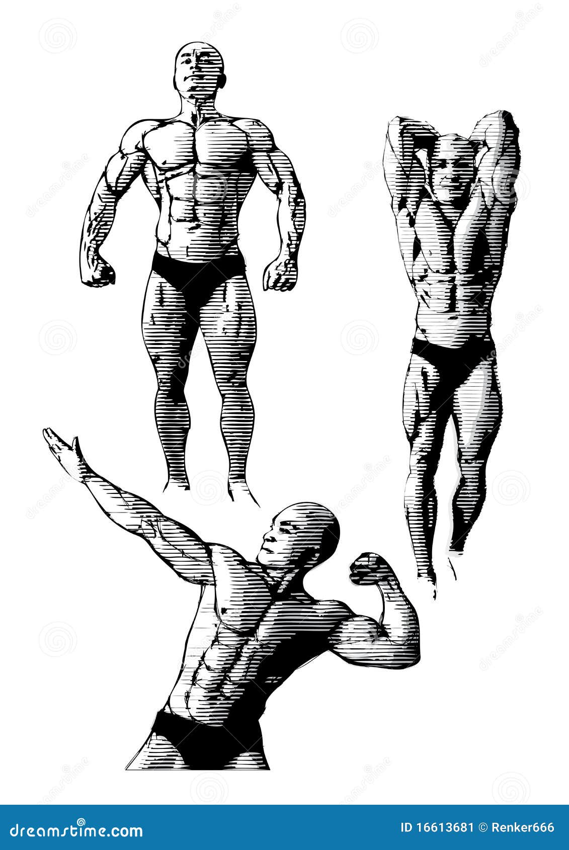 Bodybuilders trio stock vector. Illustration of weightlifting - 16613681