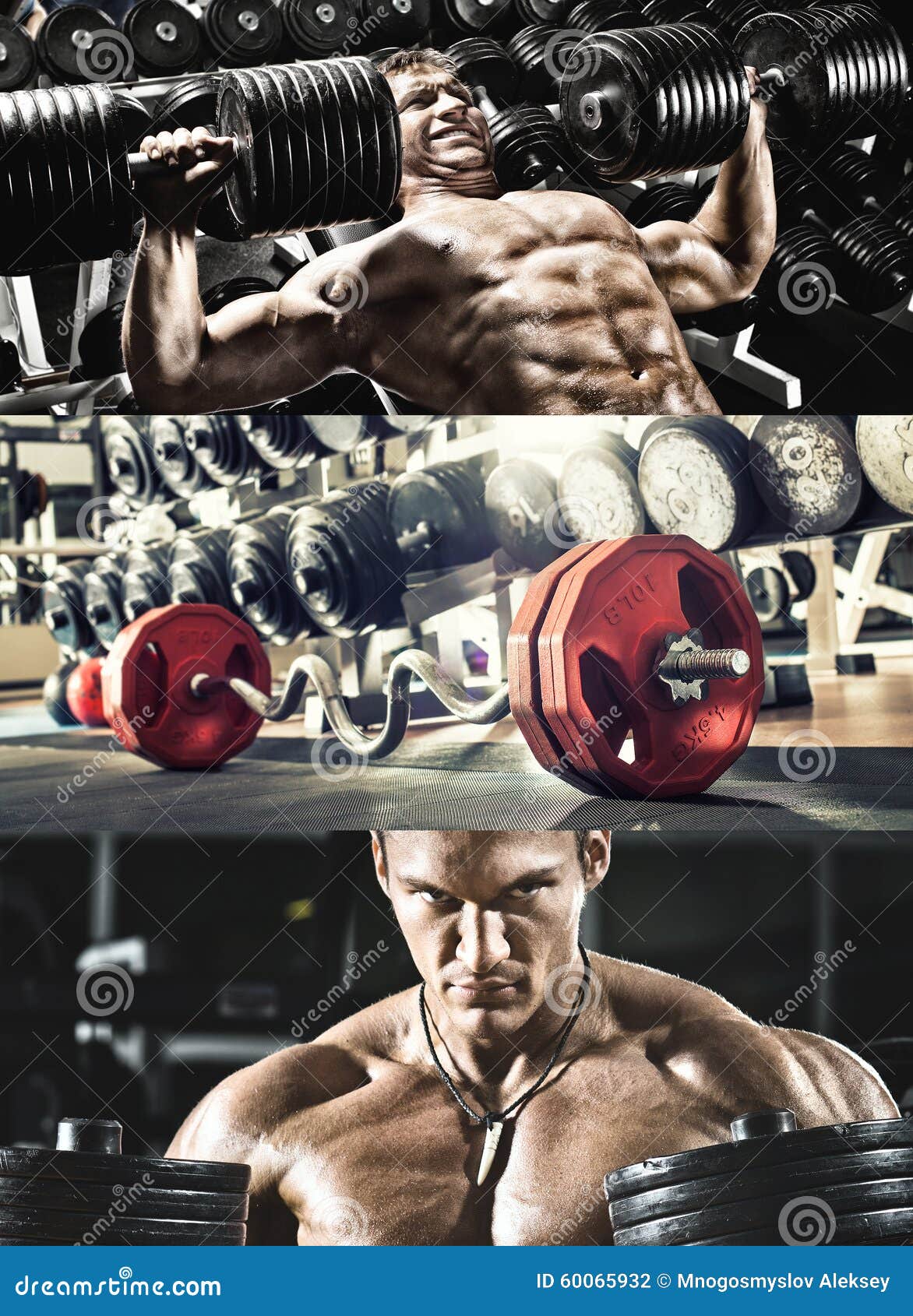 Bodybuilding stock photo. Image of bodybuilding, strong - 60065932