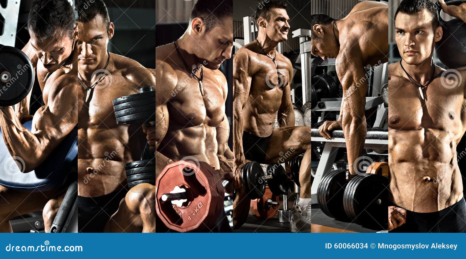 Bodybuilding stock photo. Image of musculature, exercising - 60066034