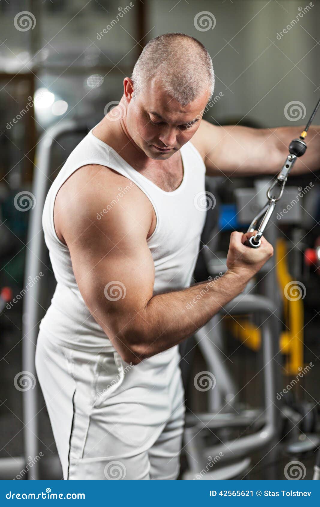 Bodybuilding exercise. stock image. Image of muscular - 42565621