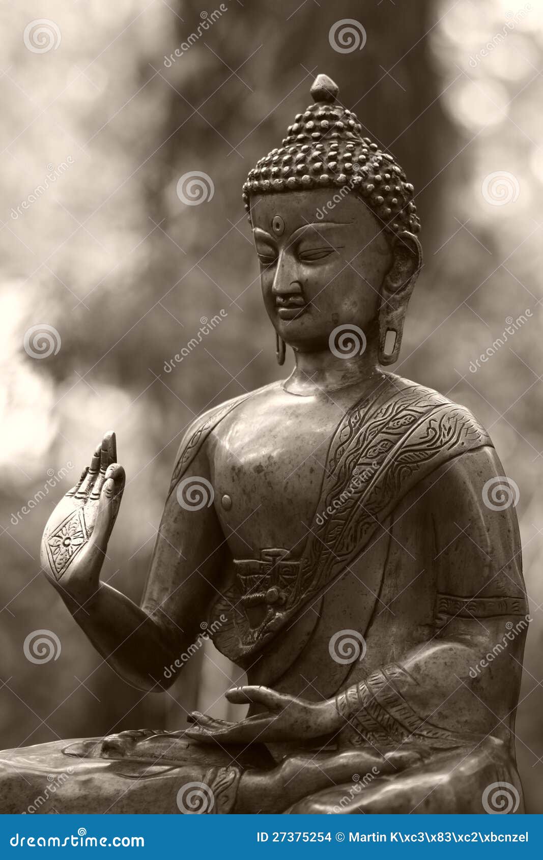 Boedha stock foto. Image of nirvana, aziatisch, palm - 27375254