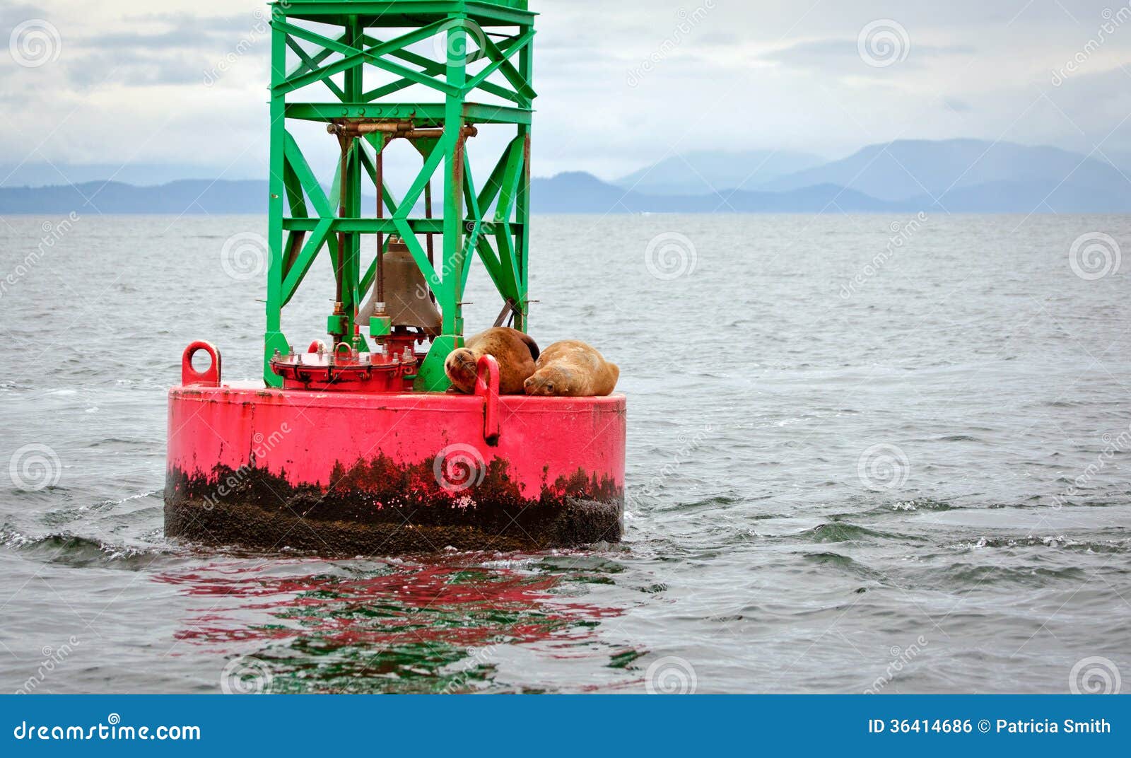 Boei en zeeleeuwen stock foto. Image of boei, marine - 36414686