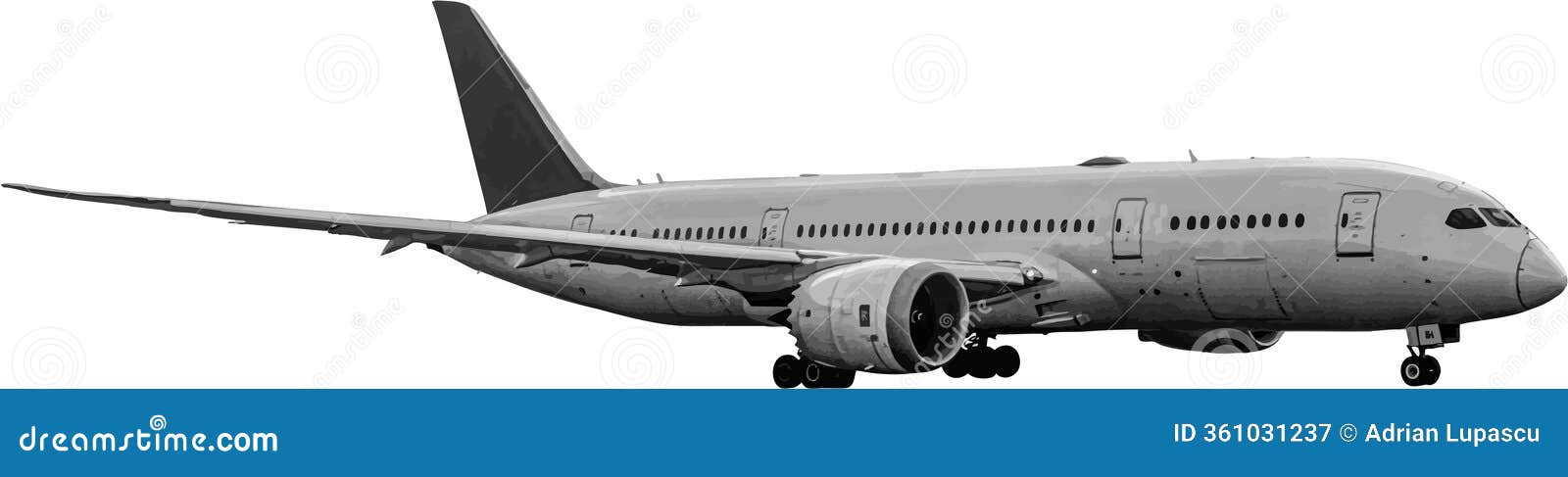 Vector Boeing-787 At Sunset | CartoonDealer.com #4879894