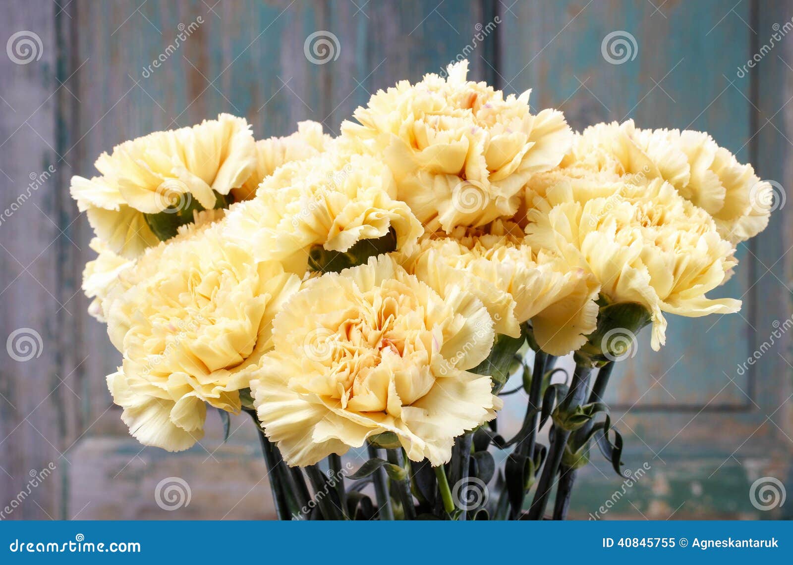 Boeket van gele anjers stock afbeelding. Image of partij - 40845755