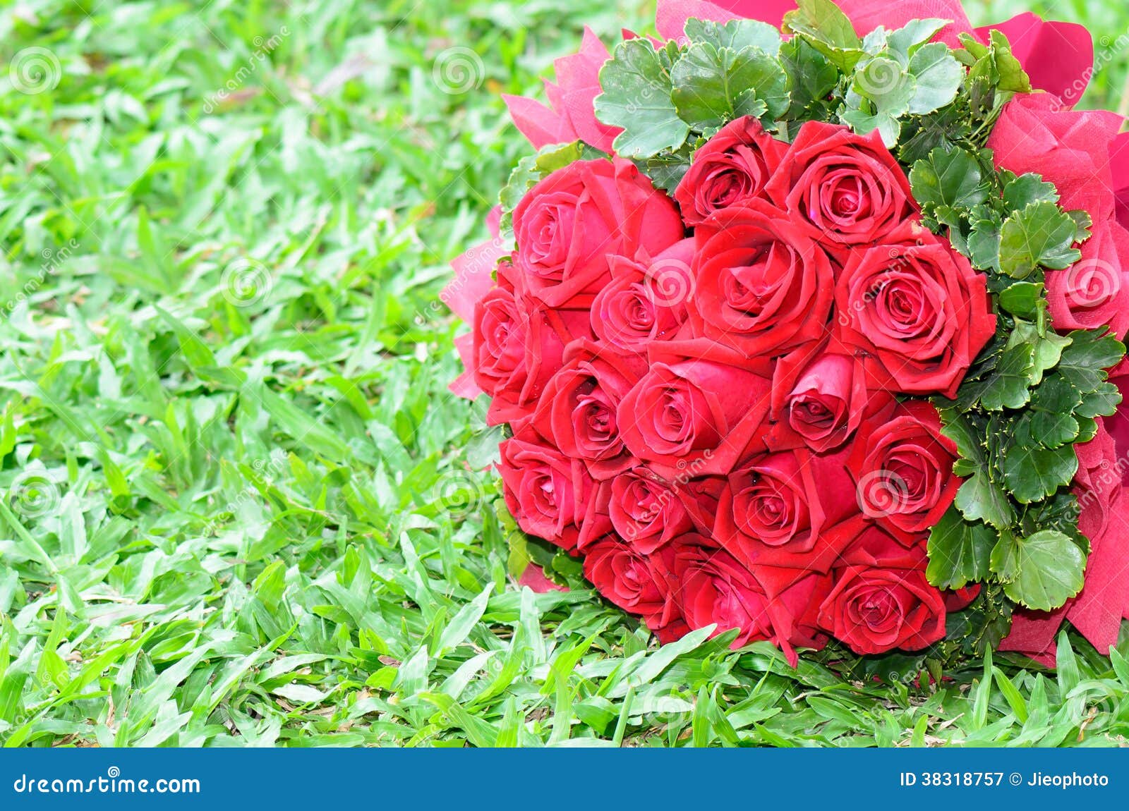 Boeket Van Rode Rozen Op Het Gazon. Stock Afbeelding - Image of ...