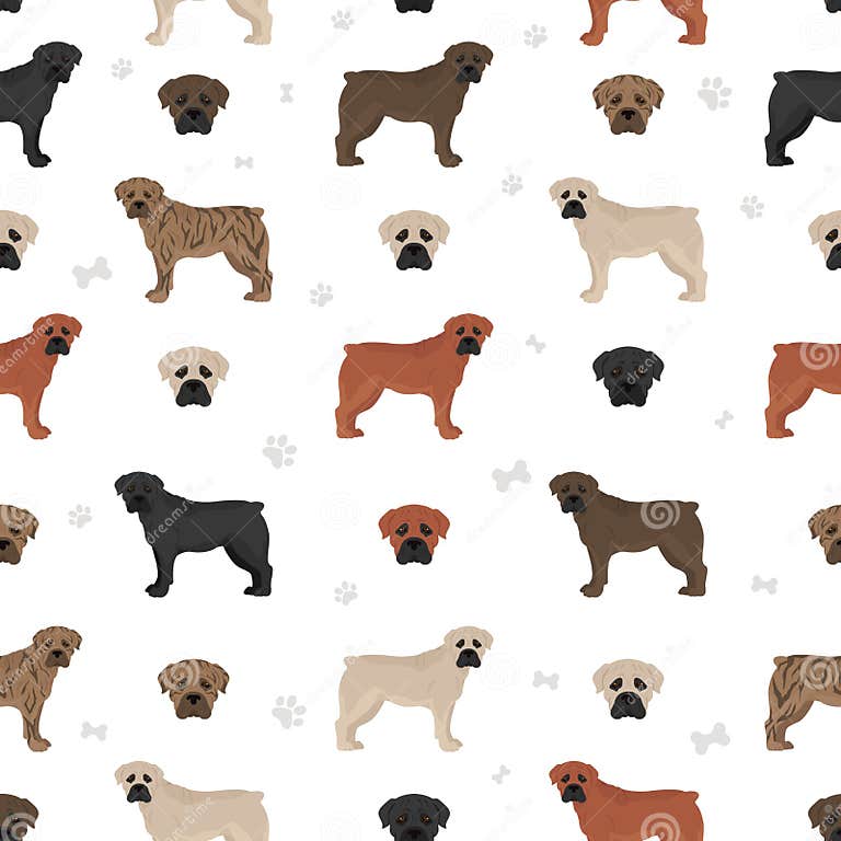 Boerboel Seamless Pattern. Different Coat Colors and Poses Set Stock ...