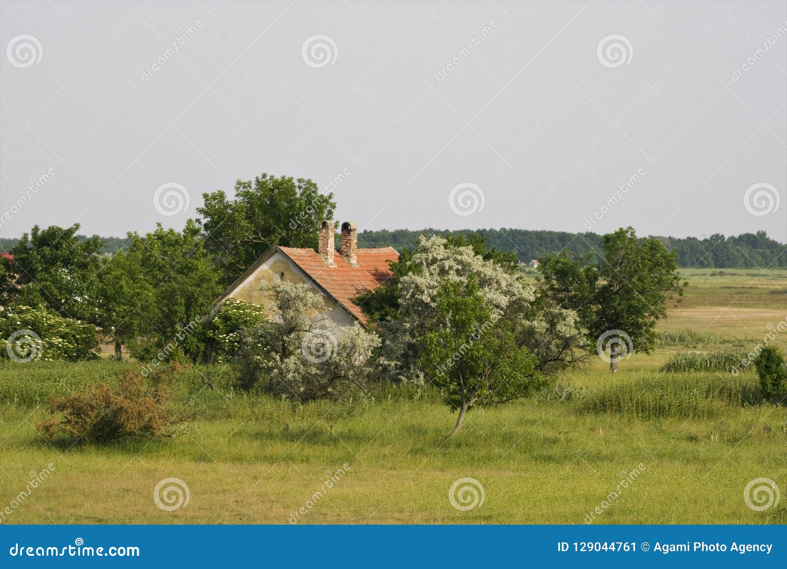 Boerderij, Farm stock image. Image of boerderij, national - 129044761