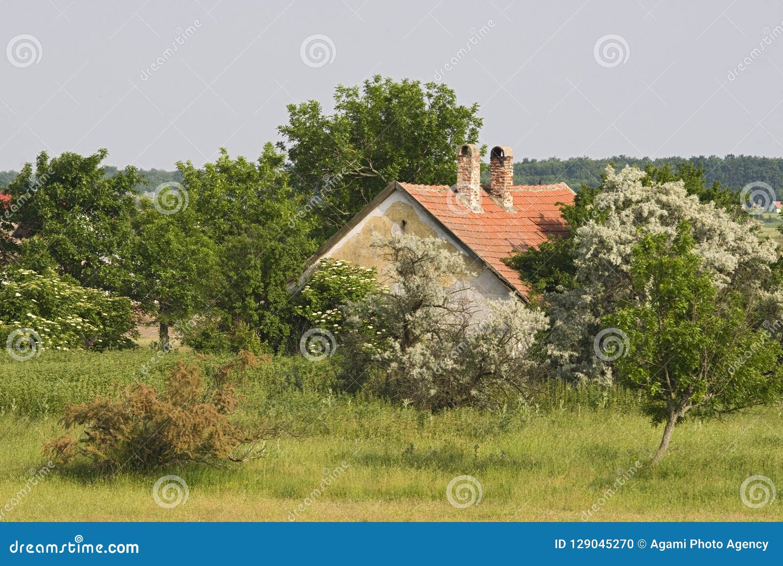 Boerderij, Farm stock photo. Image of farm, farmhouse - 129045270