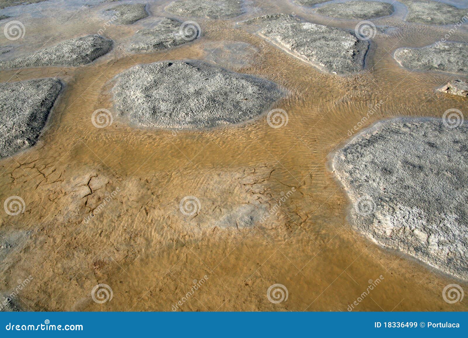 Bog stock image. Image of natural, mere, water, nature - 18336499