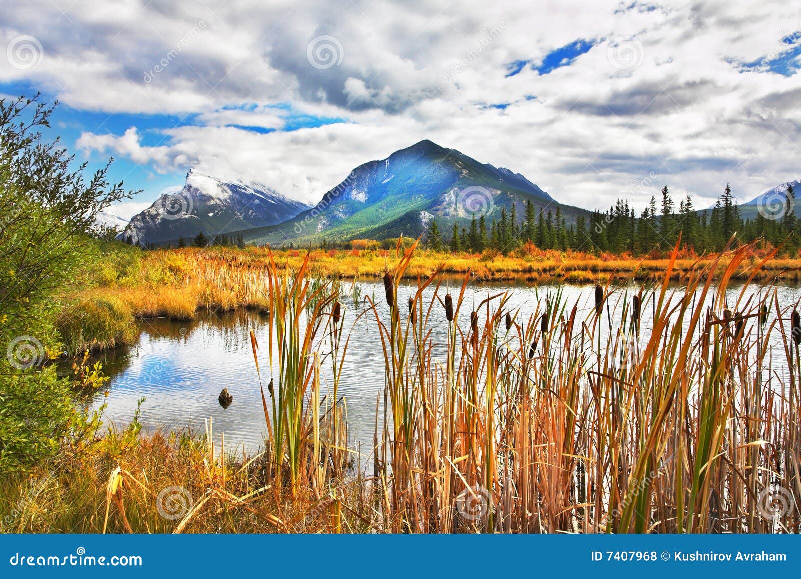 Bog stock photo. Image of remote, scenics, horizon, cloudscape - 7407968