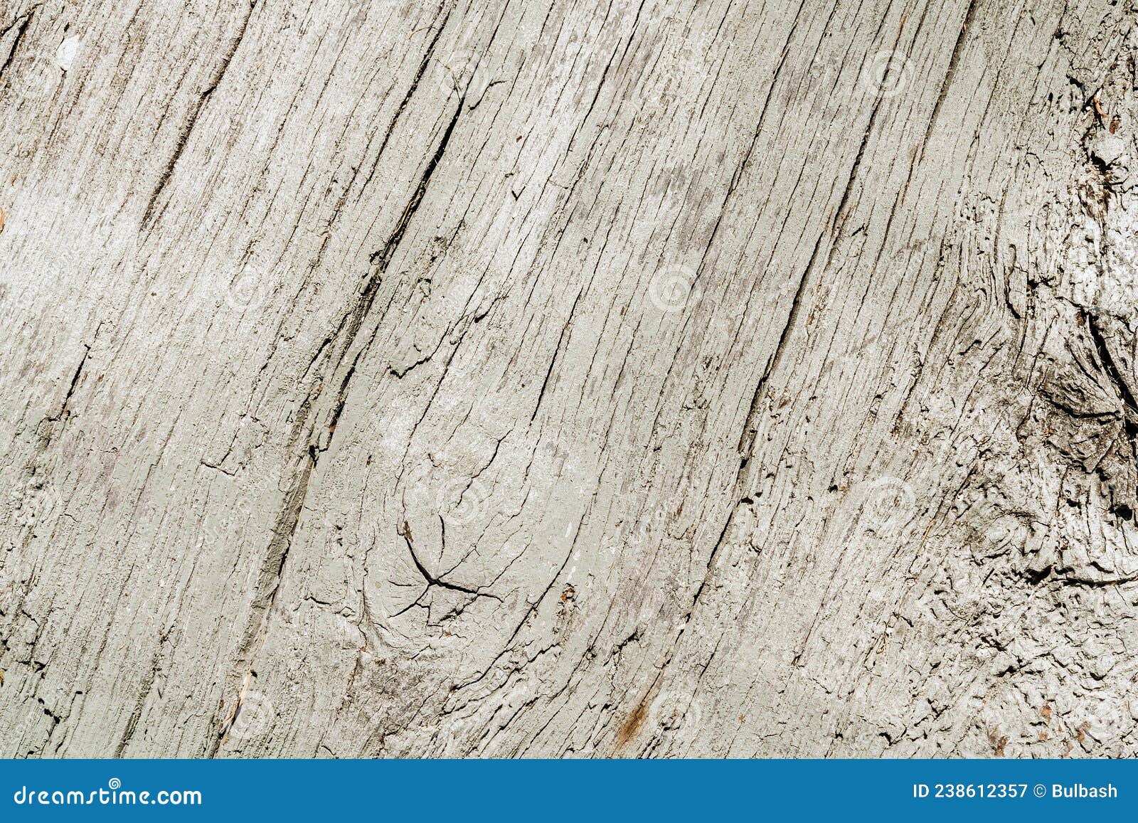 Bog oak texture stock image. Image of rough, pattern - 238612357