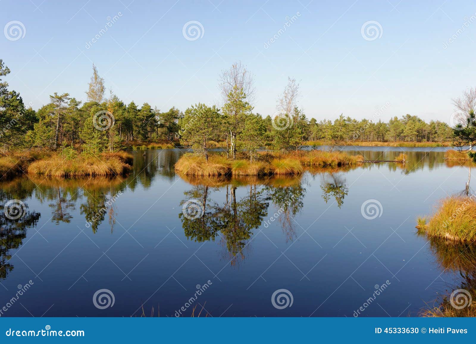 Bog-pools stock photo. Image of mire, brewery, pool, draff - 45333630