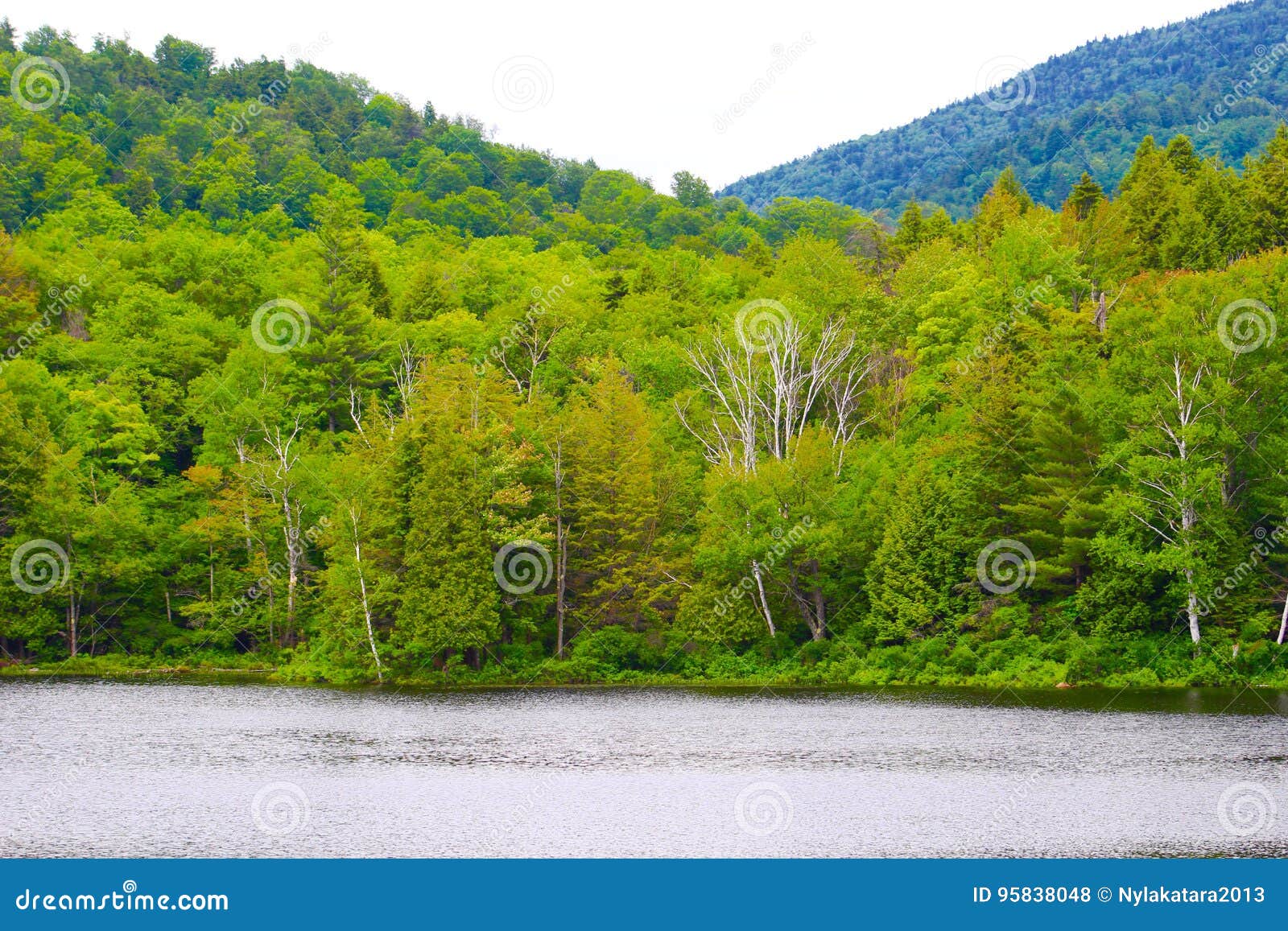 Bog River Flow stock photo. Image of tupper, york, campsites - 95838048
