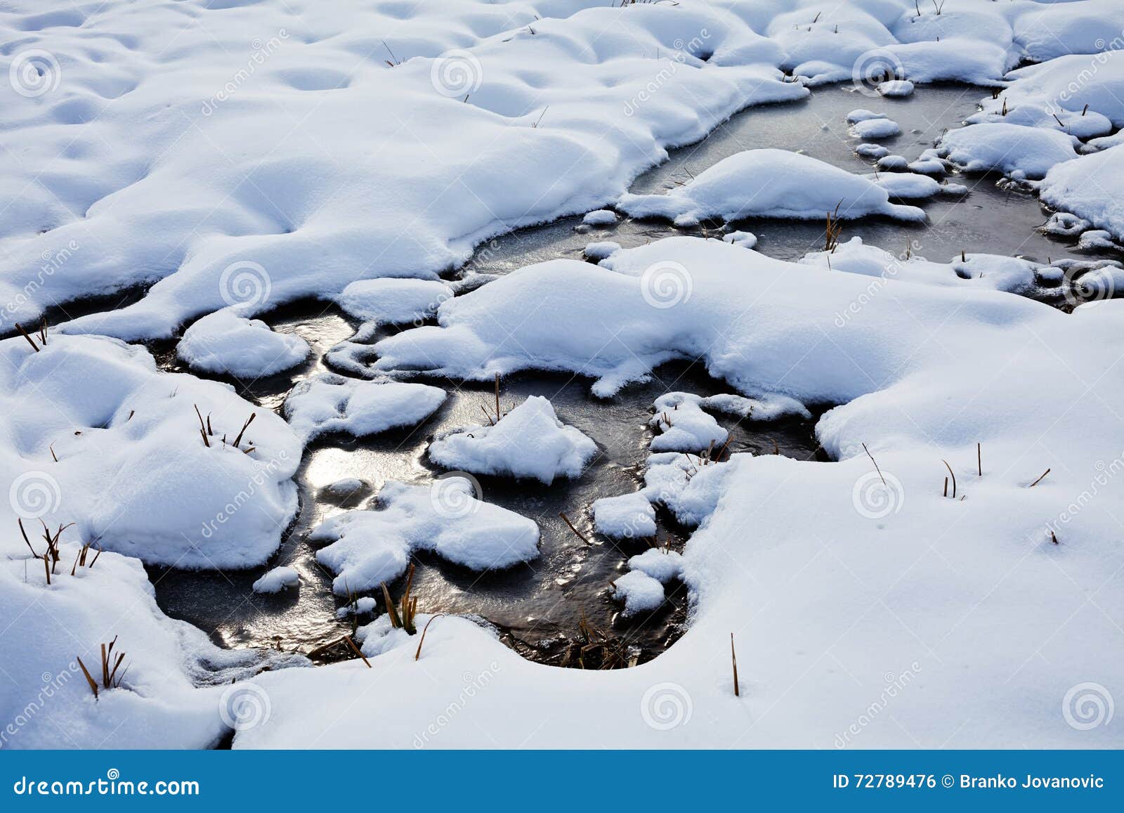 Bog under sow stock photo. Image of beautiful, peaceful - 72789476