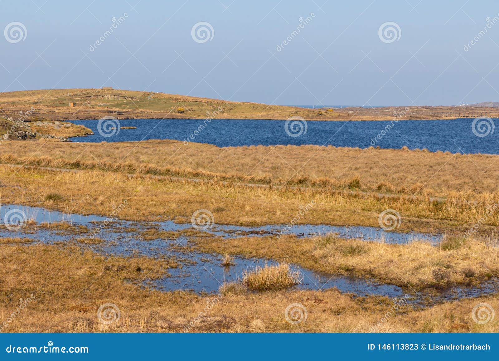 Bog with Vegetation and Lake Stock Image - Image of vegetation, cutting ...