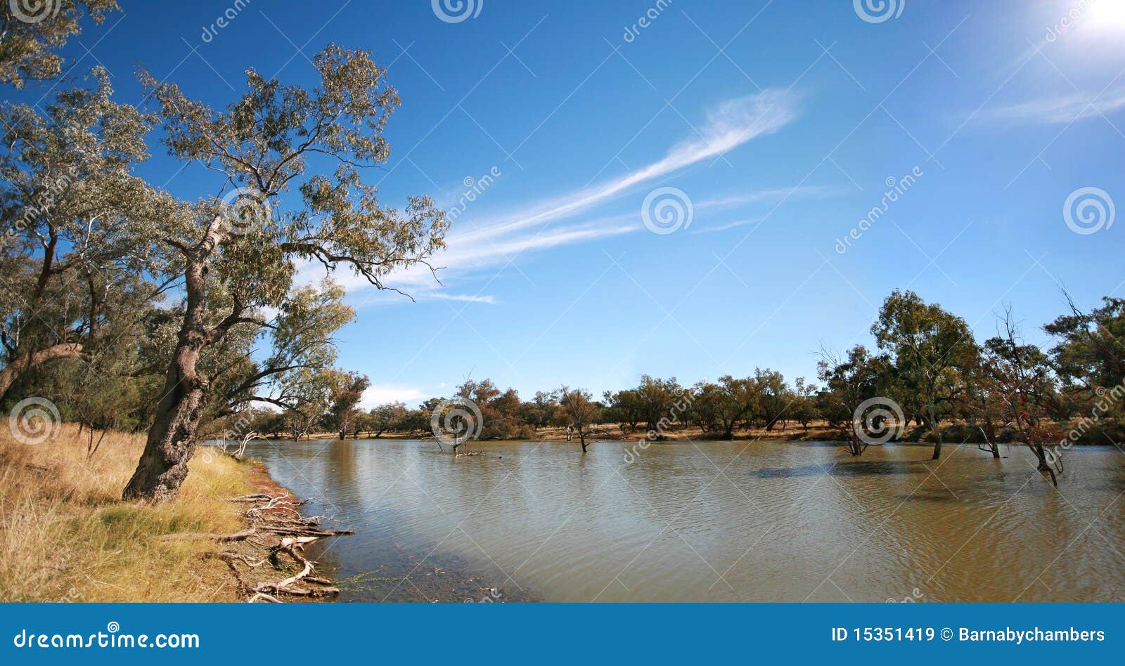 Bogan River stock image. Image of blue, eucalyptus, explore - 15351419