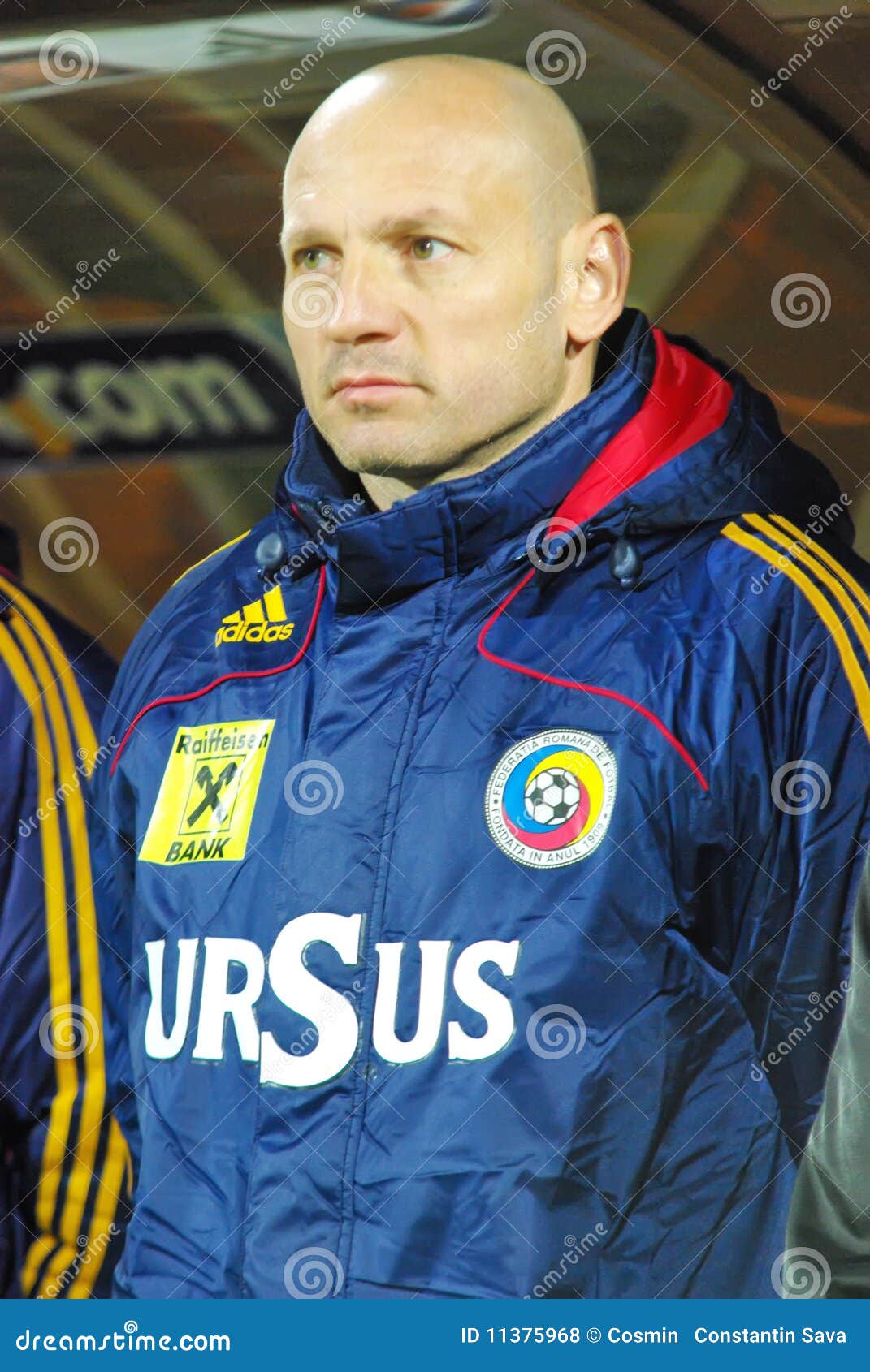 Bogdan Stelea editorial stock photo. Image of fields - 11375968