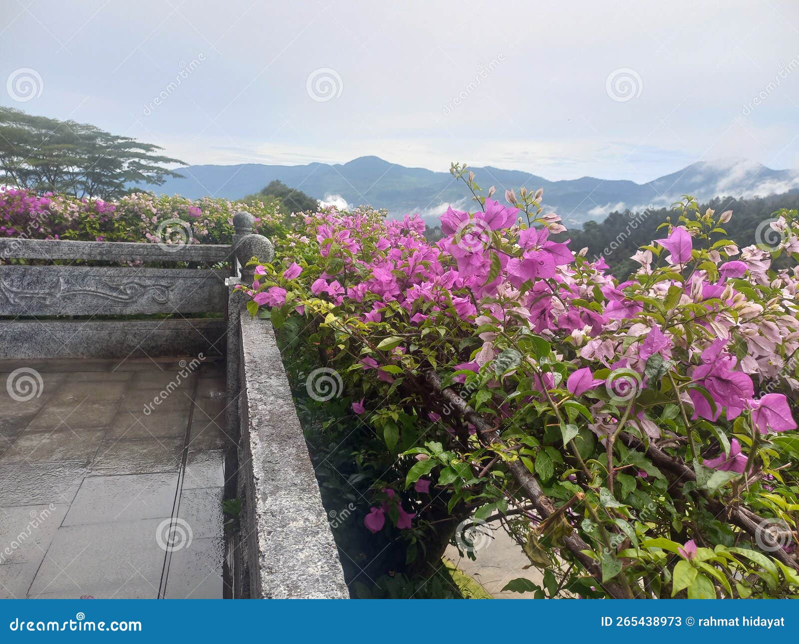 Bogenfil Mountain Stock Photos - Free & Royalty-Free Stock Photos from ...